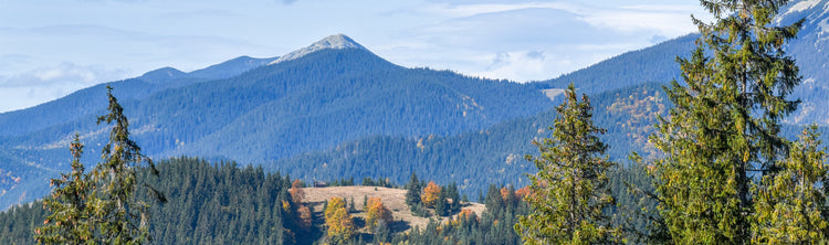 Lynune – DIVYA Living