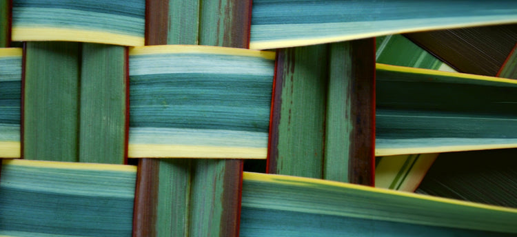 Qualas – DIVYA Living